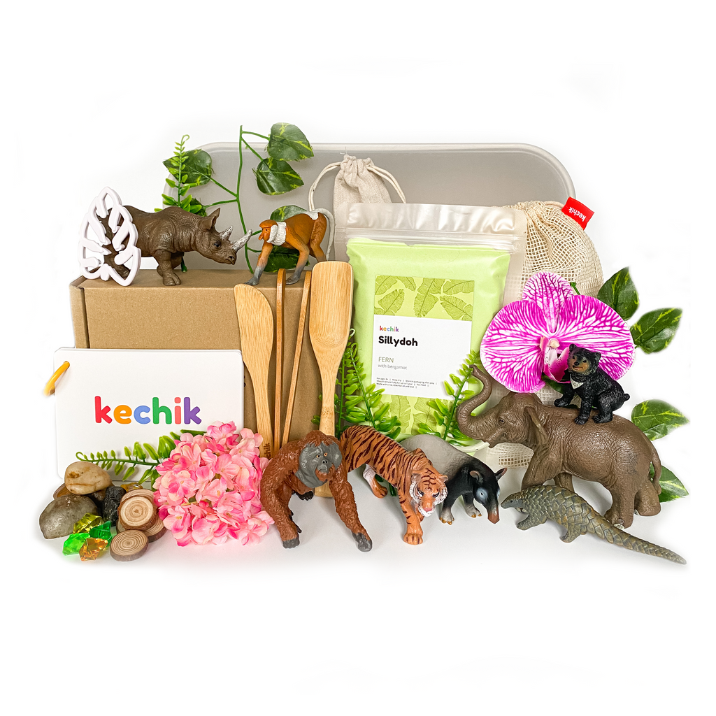 Malaysian Rainforest Sensory Kit – kechik